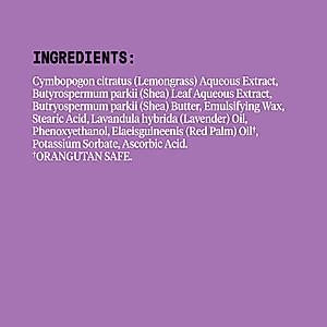 Alaffia Everyday Shea Body Lotion - Normal to Very Dry Skin, Moisturizing Support for Hydrated, Soft, and Supple Skin with Shea Butter and Lemongrass, Fair Trade, Lavender, 2 Pack - 32 Fl Oz Ea