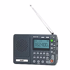Kaito KA110 Compact Digital AM/FM NOAA Weather Radio and MP3 Player with Micro-SD Card Reader