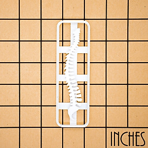 Human Spine cookie cutter, 1 piece - Bakerlogy
