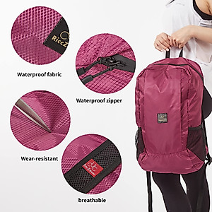 RiccZeuu Packable Backpack Hiking Daypack for Travel Camping Outdoor,Water Resistant Lightweight,30L,purple