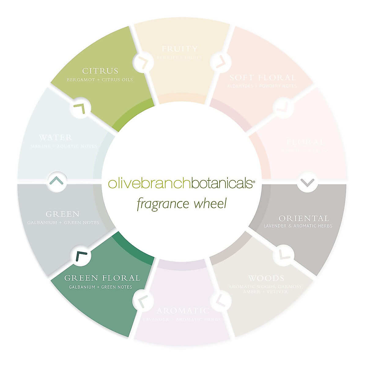 Gilchrist & Soames Olive Branch Shampoo - 12oz - All Hair Types, Zero Parabens, Sulfates, and Phthalates