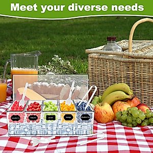 Ice Chilled Condiment Server Caddy, Bar Fruit Caddy with Lid and 5 Removable Compartments, Plastic Storage Food Container Clear Ice Condiment Serving Tray for Party, Toppings Bar Container