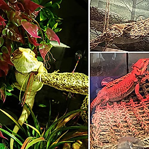 MUYG Bearded Dragon Tank Hammock,Natural Seagrass Reptile Lounger Hammocks Decor Flexible Leaves Jungle Climber Vines Habitat Accessories for Lizard Chameleon Gecko Snakes(5 PCS)