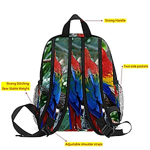 ZGONOHYE Girls Cute Mini Backpack Scarlet Macaw Bird Parrot Small Backpack School Bag Lightweight Preschool Backpacks Fashion Backpack Purse for Women Travel Bag Daypack for Girls Boys