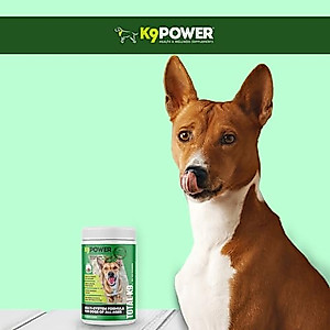 K9 Power Total K9 for Dogs 1lb - Supports Joint Health - Boosts Immune Function -Enhances Muscle Strength - Promotes a Healthy Coat