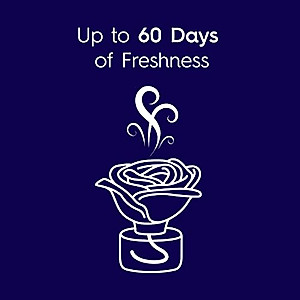 Renuzit Scent Blossoms Fragrance Diffuser Handmade Flower, Sweet Dreams, 1 Count