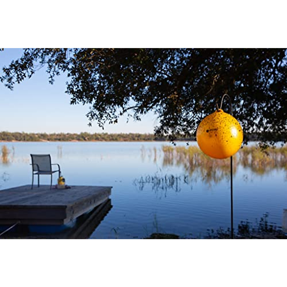 Bug Ball 3 Pack Deluxe Sampler Kit Complete- Odorless Eco-Friendly Biting Fly and Insect Killer with NO Pesticides or Electricity Needed, Kid and Pet Safe