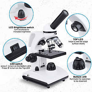 BNISE 100x-2000x Biological Microscopes, for Kids Students Adults, Microscope with Microscope Slides Set, Phone Adapter, Powerful Biological Microscopes for School Laboratory Home Science Education