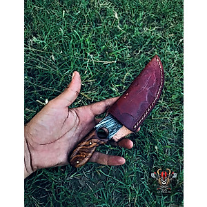 SDM Custom Handmade Hunting Knife Bush craft Knife Damascus Steel Survival Knife EDC 5'' Overall Walnut Wood With Sheath
