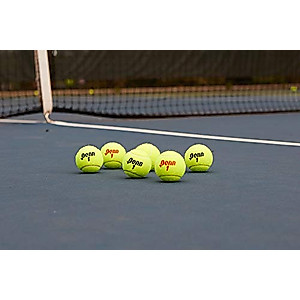 Penn Championship - Extra Duty Felt Pressurized Tennis Balls - 15 Cans, 45 Balls