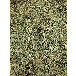 Timothy Gold Hay, 5Lb, Blue