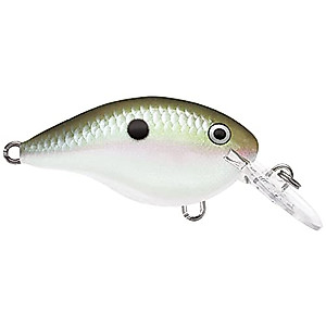 Dives-to 10 Green Gizzard Shad