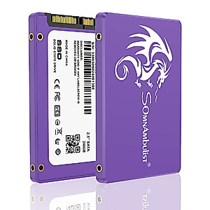 Somnambulist Internal Hard Drive SSD 60GB 120GB 240GB 960GB 2TB SATA3 2.5 inch SSD 480GB SSD (Purple Dragon 240GB)
