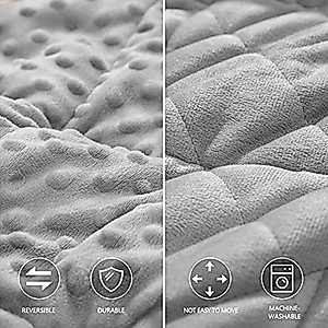 Angelhood Weighted Blanket Adult (20 lbs, 60x80 Inches, Queen or King Size Bed),Oeko-Tex Certified Minky Weighted Blanket Warm Luxury,Heavy Weighted Blanket with Premium Glass Beads