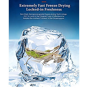 Tasty Freeze Dried Grasshopper Reptile Food for Turtles, Bearded Dragon, Hedgehog,Lizard, Chameleon, Birds (3 OZ)