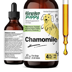 Chamomile Tincture for Dogs - Digestive Health Supplement - Chamomile Liquid Extract for Gas Relief - Gut Support Drops - Liquid Vitamins and Supplements for Pets of All Breeds & Sizes - 4 fl oz