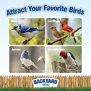 Backyard Seeds Fiery Surprise Hot Pepper Flavored Bird Seed Blend 5 Pounds