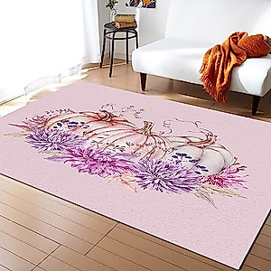 Rugs for Bedroom Living Room Office Kitchen, Fall Thanksgiving Pink Pumpkin Watercolor Flower Plaid Soft Carpet Washable Area Rugs, Indoor 2x3 Feet Floor Rug for Home Decor Aesthetic