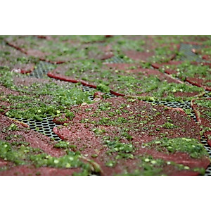 Vigil's Green Chile Beef Jerky 8oz.