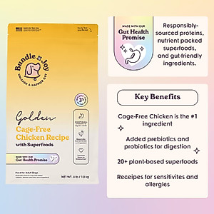 Bundle x Joy Golden Probiotic Dog Food Dry, Chicken, 4lb Bag, Natural Grain Free Adult Kibble for Digestive Health Made with Real Chicken, 20 Plant Based Superfoods, Corn, Poultry & Soy Free