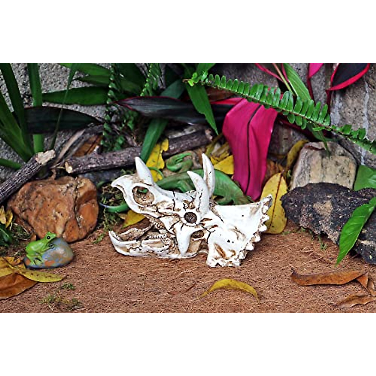 Dinosaur Triceratops Skull Reptile Amphibian Habitat Hide – Premium Non-Toxic Resin for Aquariums & Terrariums – Large Size
