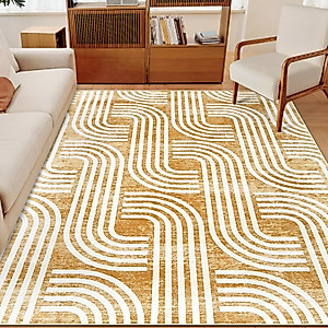 CARMIO Area Rug 8x10, Machine Washable Rugs Soft Living Room Rugs Arch Pattern Knot Modern Print Area Rug Non Slip Indoor Floor Carpet for Bedroom Nursery Kitchen, Coffee