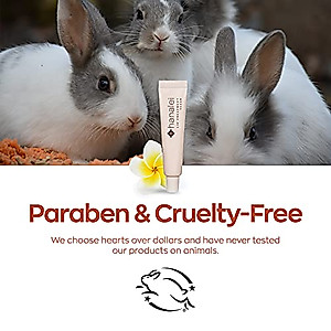 Cruelty-Free and Paraben-Free Lip Treatment to Soothe Dry Lips by Hanalei – Made with Kukui Oil, Shea Butter, Grapeseed Oil – Made in USA – Clear Travel-Size 3 Pack (5ml/5g/0.17oz x 3 tubes)