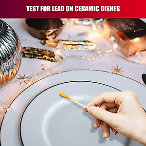 Lead Paint Test Kit Swabs - BIHYM Lead Paint Test Kit, 30/60 PCS Lead Check Swab for Home Use All Painted Surfaces, Dishes, Metal, Wood, Toys, Test Results in 30 Seconds (60PCS)