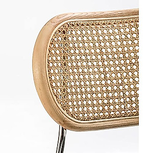 KEFFOR Dining Chair, Nordic Rattan Leisure Chair, Metal Dining Chair, Coffee Chair, Leisure Chair, Domestic Solid Wood Chair Design, Wrought Iron Dining Chair, Bearing 150kg(Color:Black)