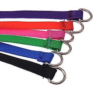 6 Pcs Bulk Pack Slip Leads Dog Pet Grooming Kennel Small Animal Control Shelter Lead Leash