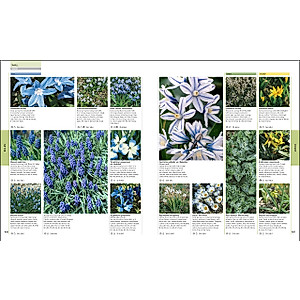 Encyclopedia of Plants and Flowers