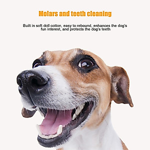 FLYUFO Squeaky Teething Toys, Bite Resistant Squeaky Dog Toy Balls, Tear Resistant Ball Dogs Toys, Durable Squeaker Balls, Puppy Teeth Squeakers for Indoor Large to Medium Breed Dogs and Puppies