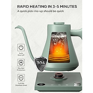 Electric Kettle, Offacy Gooseneck Kettle with Temperature Control, Pour Over Kettle & Coffee Kettle, 100% Food Grade 304 Stainless Steel, Tea Kettle 1200 Watt Quick Heating, 0.9L, Light Green