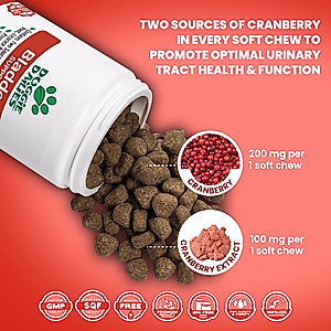 Doggie Dailies Cranberry Supplement for Dogs, 225 Soft Chews, Urinary Tract, Bladder & Kidney Support for Dogs, Cranberry for Dogs with Marshmallow Root, Licorice Root & Apple Cider Vinegar (Chicken)