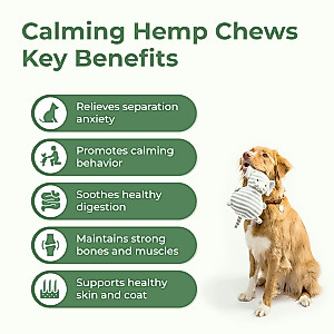 PAWLABS Calming Hemp Chews for Dogs - Relieve Anxiety & Stress - Organic Hemp, Chamomile, Protein Powder, Valerian Root - Natural Calming Aid - Vet Formulated, USA Made - Duck Flavor - 120 Count