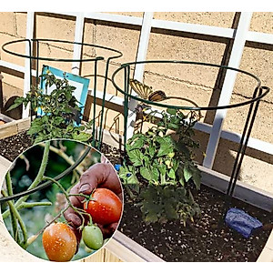 10pack Garden Plant Support Stake 10" Wide x 16" High Half Round Metal Garden Plant Support Ring Border Support, Plant Support Ring Cage for RoseFlowers Vine Tomato with 20pack Plant Clips &Plant Ties