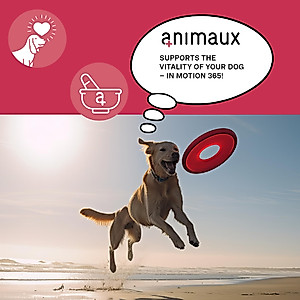 animaux – in Motion 365 for Dogs, Joints, Bones, Mobility, Ligaments and Tendons, Green-Lipped Mussel, Willow Bark and Devil’s Claw, Natural Pain Relief, 60 Chewable Tablets, 60 Days Supply