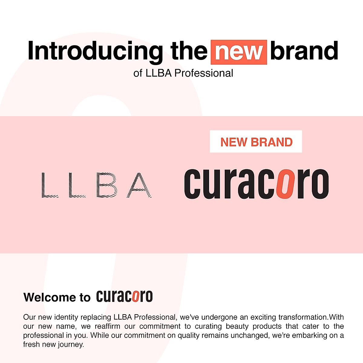 LLBA Promade Fans | Handmade Volume Eyelashes | Multi Selections From 3D To 16D | C CC D DD L M Curl | Thickness 0.03 ~ 0.1 mm | 8 - 20mm Length | Long Lasting | Easy Application (10D-0.03 D 12 mm)