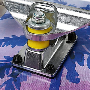 Wilver Complete Skateboards for Beginners Pro 31 inches Complete Skateboards for Teens Beginners Girls Boys Kids Adults, Maple Wood Skateboard (Color B)