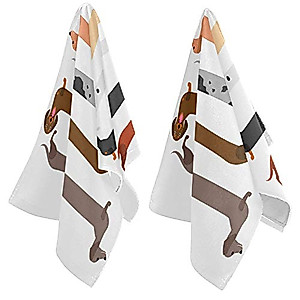 Naanle 2 Piece Funny Cute Long Colorful Dachshund Set Soft Fluffy Guest Hand Towels, Multipurpose for Bathroom, Hotel, Gym and Spa (14" x 28")
