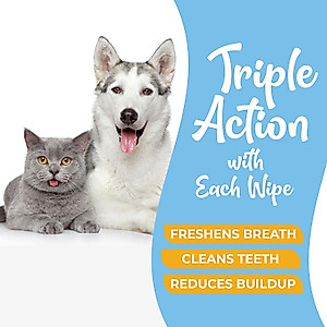 VetWipe Dog Teeth Cleaning Finger Wipes - Easy Cats & Dogs Dental Care Toothbrush and Tooth Brushing Kit, Freshen Bad Breath, Reduces Plaque - 50 Count