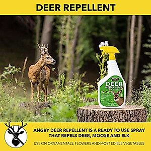 Harris Deer Repellent, Long Lasting Ready to Use Plant Safe Formula, 32oz