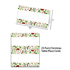 Christmas Table Place Cards, Xmas Blank Seating Place Card for Table, 25 Pack Buffet Food Tent Labels, Double Design Name Cards, Scored for Easy Folding, Christmas Party Decorations(10)