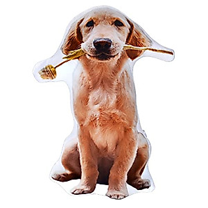 Custom4U Custom Pet Shaped Pillow with Pictures Personalized Funny Pillow Customized Photos Pet Pillow