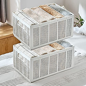 UNZIPE 2 Pack Closet Storage Bins with Handle, Plastic Storage Baskets Organizer Clothes Organizer for folded Clothes Closet Containers for Shelf, Large