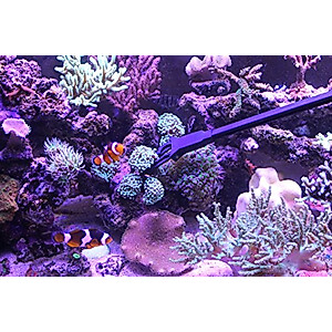 AquaticHI Aquarium Tongs 27 inch (70 cm), 100% Reef Safe, Multi Purpose for Fresh and Saltwater Fish Tanks, Clip Plants, Spot Feed Fish and Coral, Keep Hands Dry