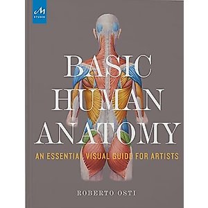 Basic Human Anatomy: An Essential Visual Guide for Artists