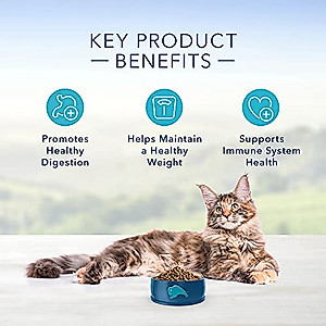 Blue Buffalo Indoor Health Natural Adult Dry Cat Food, Salmon & Brown Rice 5-lb