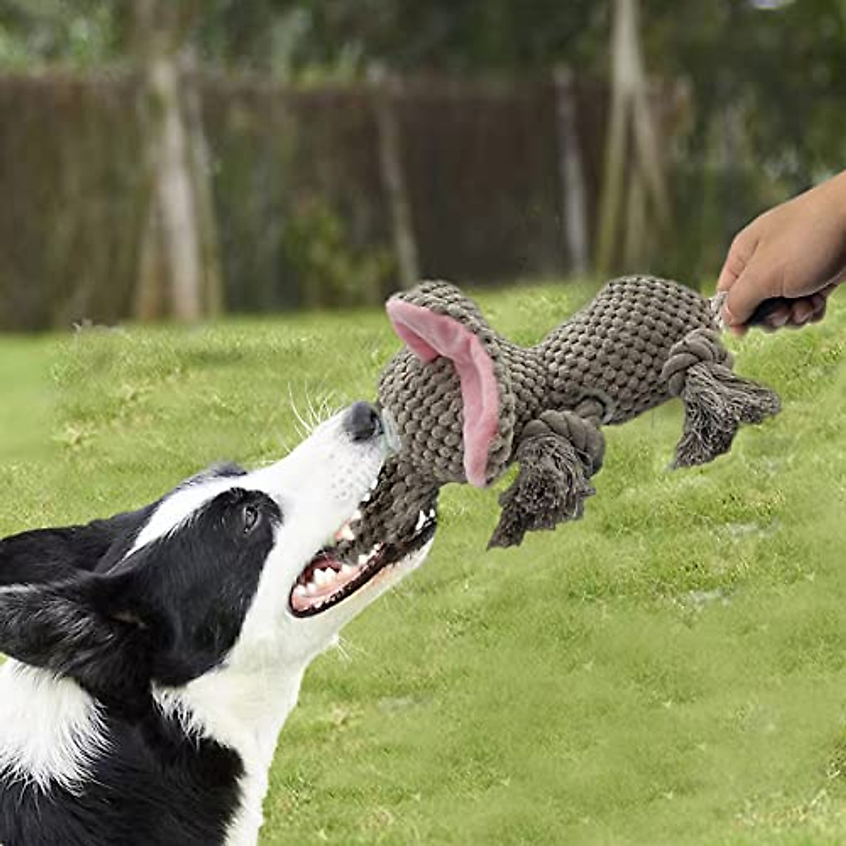 AIMETING Dog Toys, Durable Dog Chew Toys, Dog Squeak Toy with Fun Crinkle Paper, Plush Toys Suitable for Small, Medium, Large Dogs (Elephant)