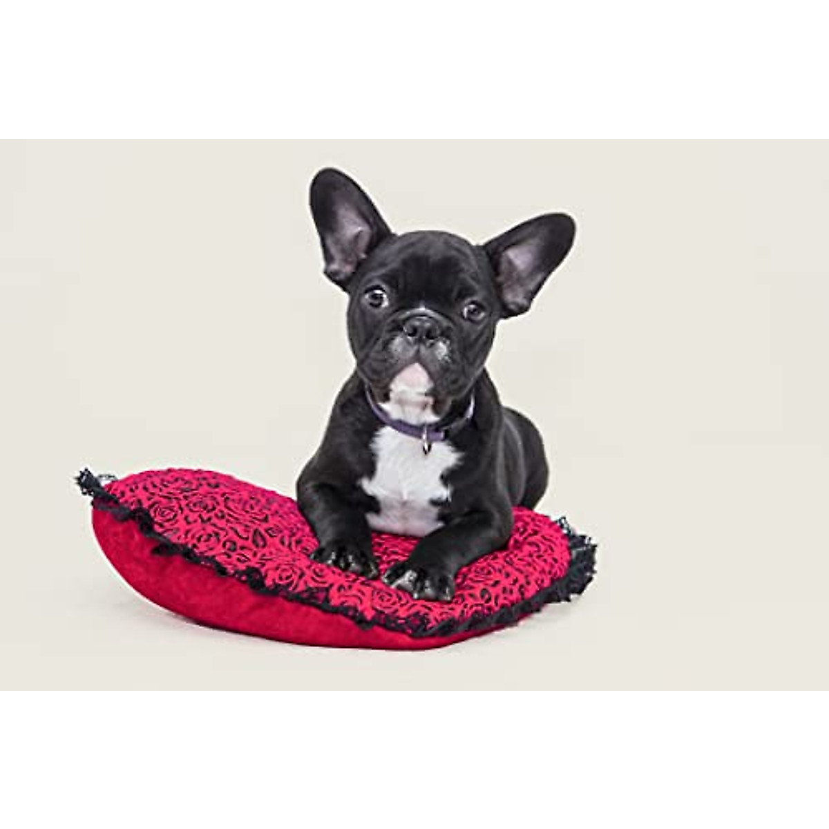 Kate Seamless Paper Backdrop for Photography Beige Cream Photo Backdrop Paper (53''x32.8' Ivorine)